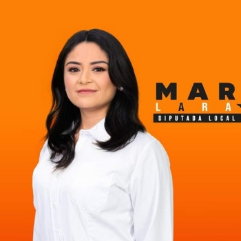 Maria Del Carmen Perez Lara Candidata A Diputados Locales Mayoria Relativa Por Movimiento ...