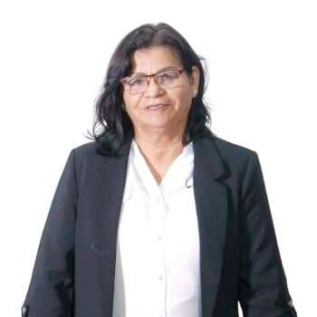 Maria ConcepciÓn Navarro Medehuari Candidata A Diputados Locales Mayoria Relativa Por Partido De ...