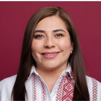 Alhely Medina Hernandez Candidata A Diputados Locales Mayoria Relativa ...
