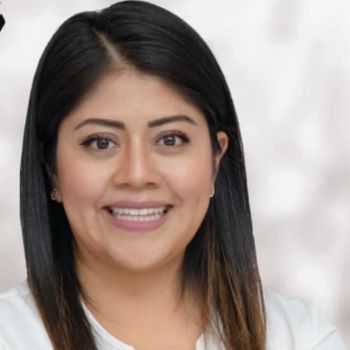 Analy Peral Vivar Candidata A Diputados Locales Mayoria Relativa Por ...