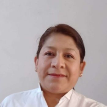 Oneida Dora Perez Matlalcuatzi Candidata A Presidentes Municipales O ...