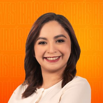 Irais Virginia Reyes De La Torre Candidata A Diputados Federales ...