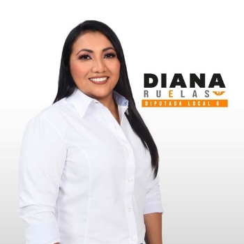 Diana Luisa Aguilar Ruelas Candidata A Diputados Locales Mayoria ...