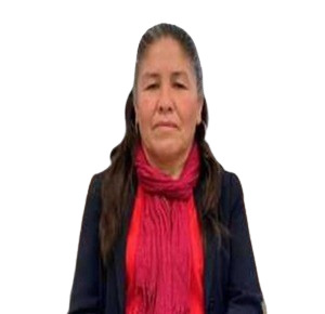 Elvia Hernandez Escalona Candidata A Diputados Locales Plurinominales ...