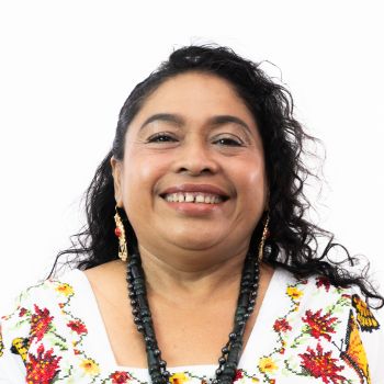 Neyda Aracelly Pat Dzul Candidata A Diputados Locales Mayoria Relativa ...