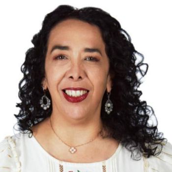 Hilda Araceli Brown Figueredo Candidata A Diputados Federales Mayoria ...