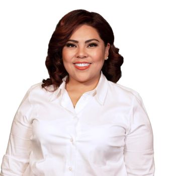 Diana Ruelas Gaitan Candidata A Diputados Locales Mayoria Relativa Por ...