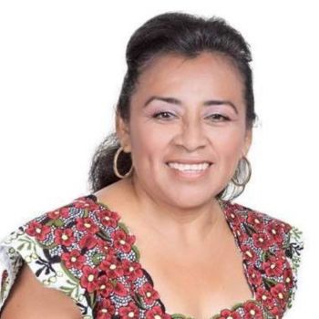 Eloisa Balam Mazum Candidata A Diputados Locales Mayoria Relativa Por ...
