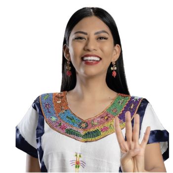 Karla Clarissa Bornios Pelaez Candidata A Diputados Locales Mayoria ...