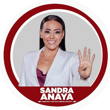 Sandra Anaya Villegas Candidata A Diputados Federales Mayoria Relativa Por Sigamos Haciendo ...