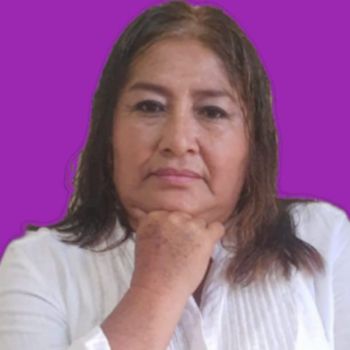 Maria De Los Angeles Gomez Lopez Candidata A Presidentes Municipales O ...