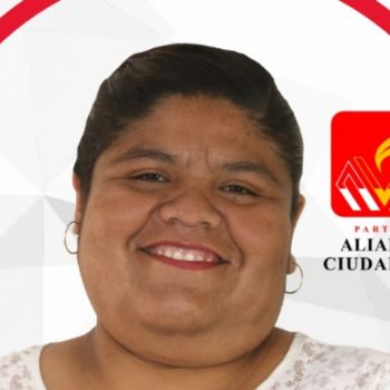 Dulce Itzel Guadarrama Olmos Candidata A Diputados Locales Mayoria ...