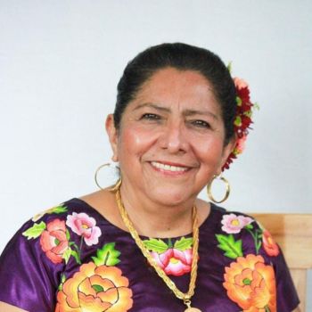 Gloria Sanchez Lopez Candidata A Diputados Federales Mayoria Relativa ...