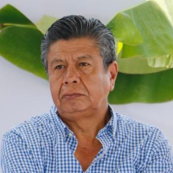 Jaime Enrique Sotelo Garcia Candidato A Diputados Locales Plurinominales Por Partido Verde ...