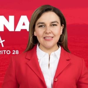 Mariana Elizabeth Piedra Bustos Candidata A Diputados Locales Mayoria ...