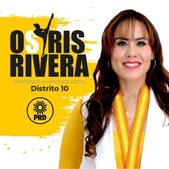 Osiris Rivera Alarcon Candidata A Diputados Locales Mayoria Relativa ...