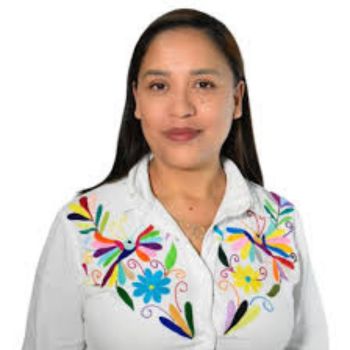 Flor Mejia Zaragoza Candidata A Diputados Federales Mayoria Relativa ...