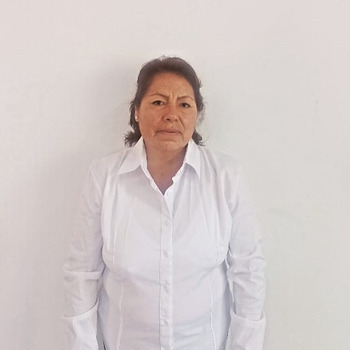 Sandra Magdaleno Flores Candidata A Presidentes Municipales O Alcaldes ...