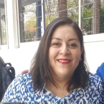 Arely Solis Ceron Candidata A Diputados Locales Plurinominales Por ...