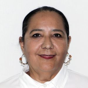 Maria Delia Aguiar Ramos Candidata A Diputados Locales Mayoria Relativa ...