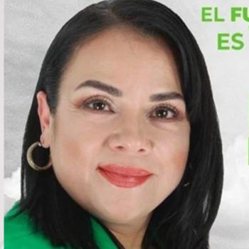 Elsa Janet Hernandez Llanos Candidata A Diputados Federales Mayoria ...