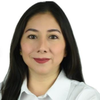 Yiddiany Violeta Ruiz Caballero Candidata A Diputados Locales Mayoria ...