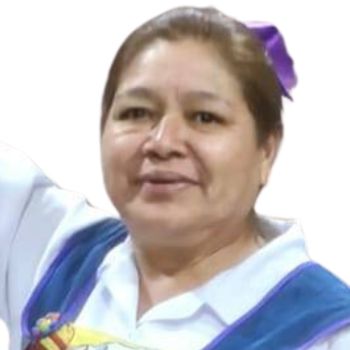 Alejandra Guadalupe Demesa Labastida Candidato A Presidentes ...