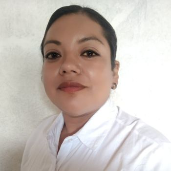 Ruth Virginia Moreno Gomez Candidata A Presidentes Municipales O ...